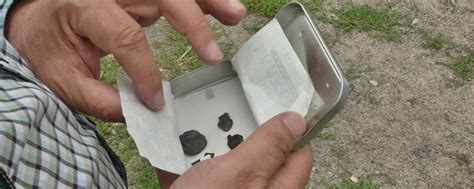 У заповіднику Межибіж на Хмельниччині знайшли свинцеву печатку Xii