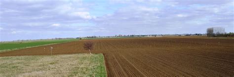 Trials For Testing New Seed Treatments