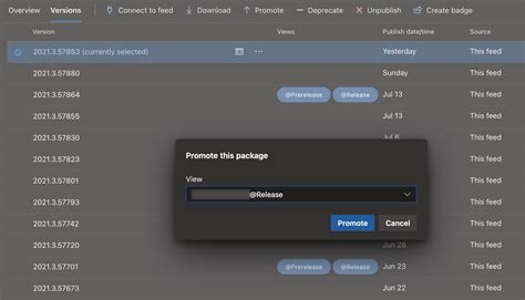 Azure Devops Artifacts Package Promotion Declaration Of Var