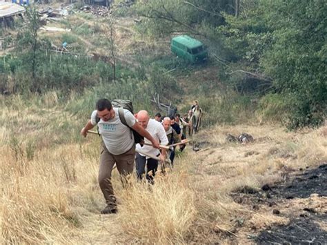 Стотици доброволци се борят с огъня край Сенокос