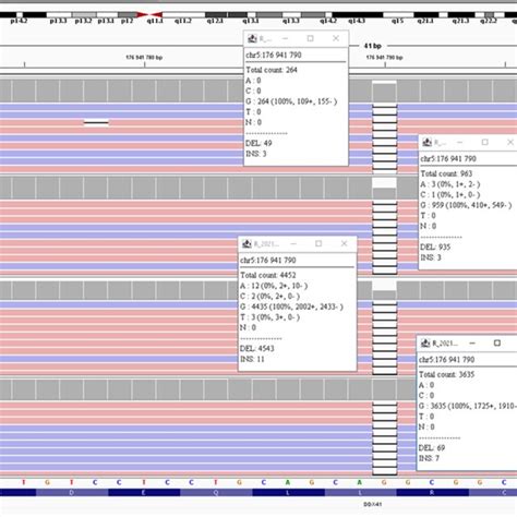 Igv View Of Ddx41 E268dfs 21 Mutation In Different Sample Type Of