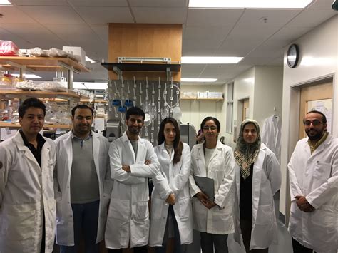 Photos Biomimetics Molecular Engineering Laboratory Kaur Lab