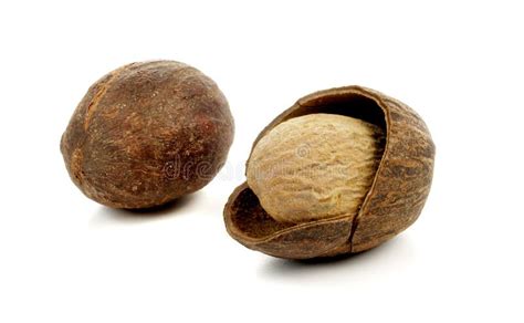Nutmeg In Nutmeg Shell On White Background Isolated Stock Photo Image Of Peeled Aromatic