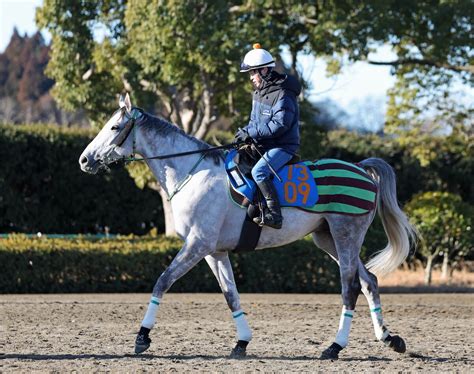土曜東京競馬場の注目激走馬東京11r早春ステークス スポーツ報知