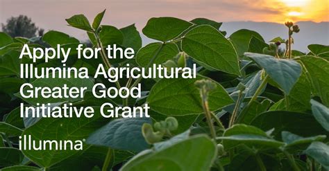 Anjali Tathe Phd Posted On Linkedin