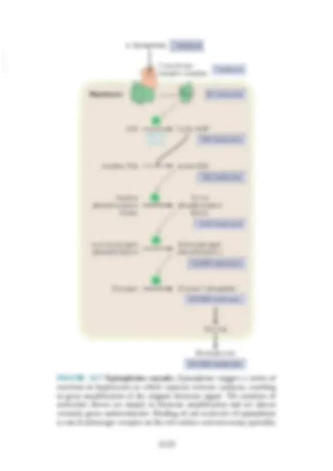 Lehninger Principles Of Biochemistry 7th Edition Lecture Notes