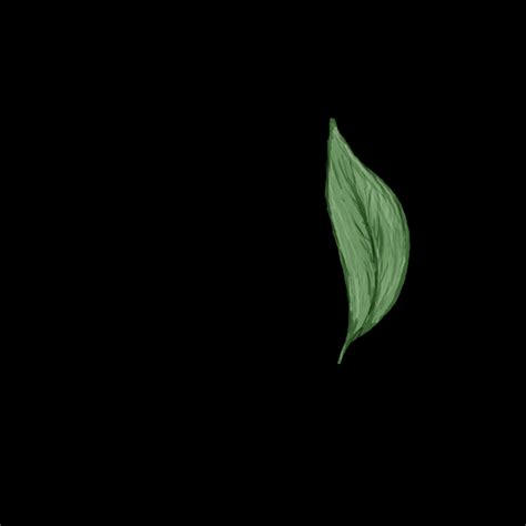 Falling Leaf Animation By Gyzmo95 On Deviantart