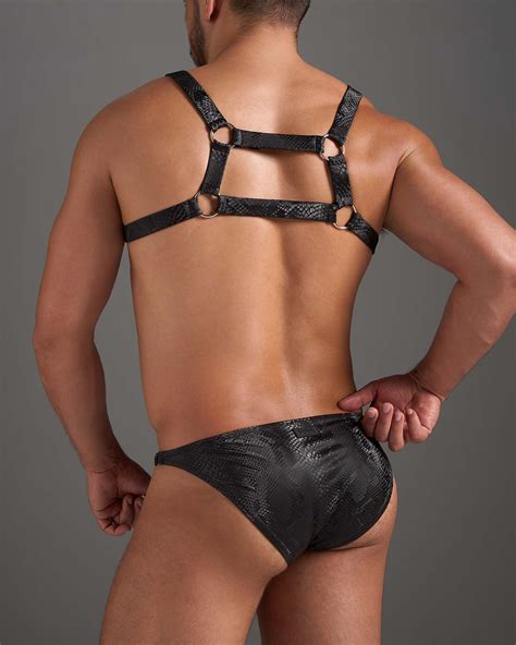 Flex Harness Python Black Teamm8 Australia