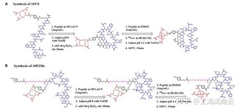 新探针，新突破！王锐院士团队开发gpc3靶向pet探针，实现肝癌精准成像 知乎