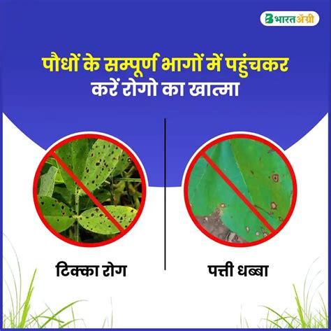 Buy Basf Priaxor Fungicide Price Starting ₹954 Upto 40 Off Cod Bharatagri Krushi Dukan