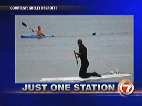 Cape Cod Kayaker Has Close Encounter With A Great White Shark
