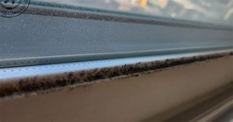 이사간 사이 청소진행이라 정신 없었을텐데 안심시켜주시며 친절하게 진행해주셔서 너무 감사했습니다 북향이랑 결로로 인한 곰팡이가