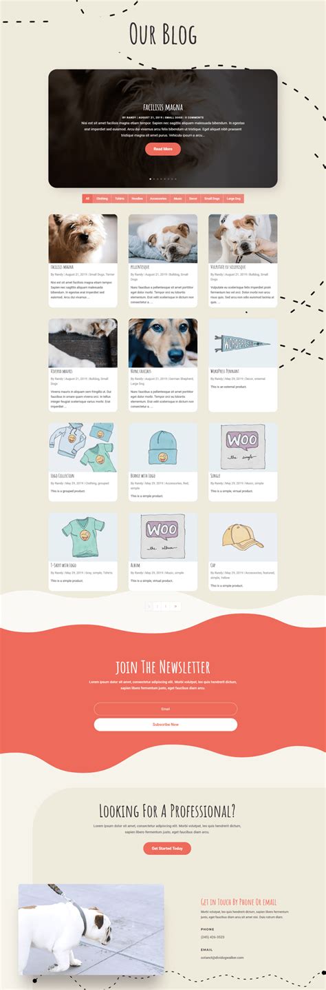 Divi Plugin Highlight Divi FilterGrid Ask The Egghead Inc