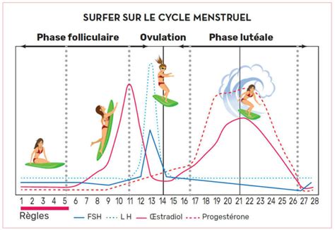 Kiffe ton Cycle ou comment mettre à profit son cycle menstruel