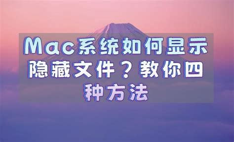 Mac系统如何显示隐藏文件？教你四种方法 知乎