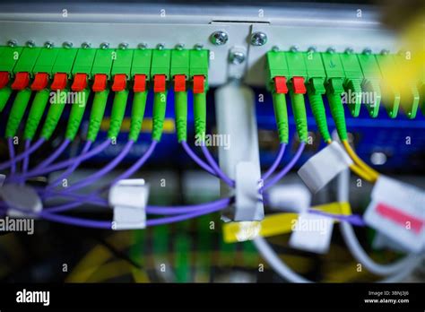Flat Design Is Showing Fiber Optic Patch Panel On Rack With Green Sc Or