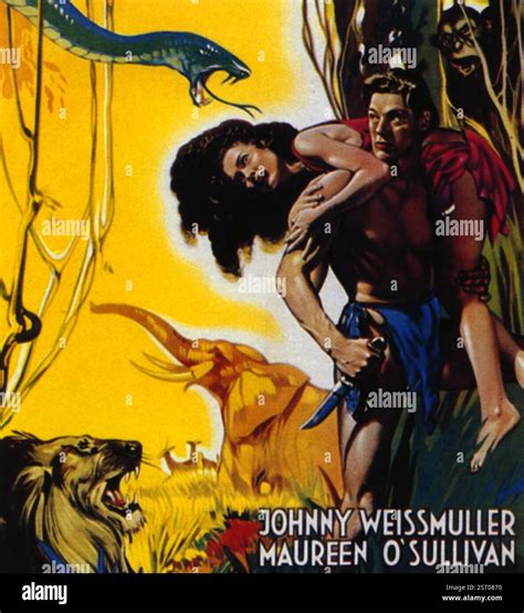 Tarzan And His Mate Us 1934 L R Maureen Osullivan Johnny