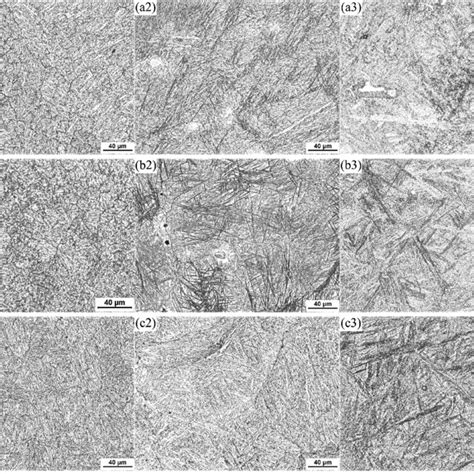 Microstructure Of The Samples Cut From The Repaired Plate With The Download Scientific Diagram