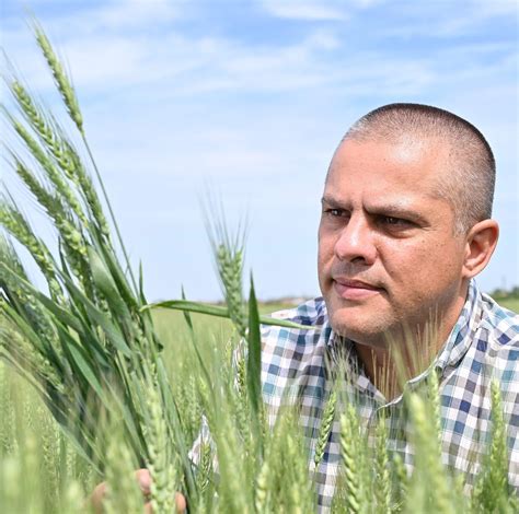 Конвенционалната технология на слънчоглед няма категорични решения за