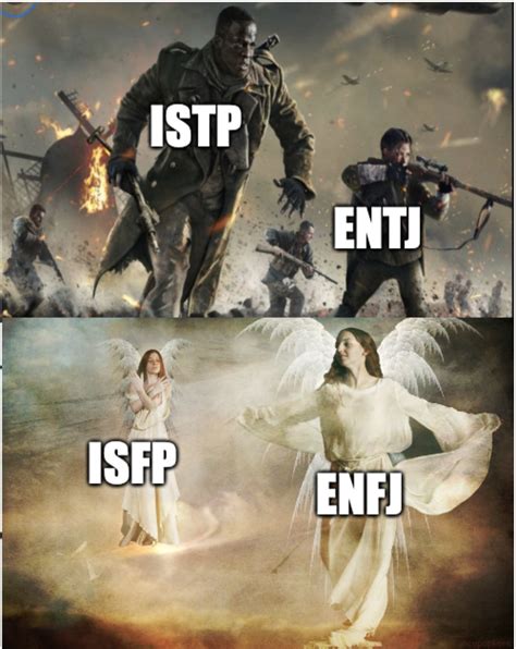 Istp X Entj Isfp X Enfj Just A Stereotype Since Not Everyone Is
