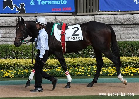 リスペクトキャット Respect Cat 競走馬データ Netkeiba