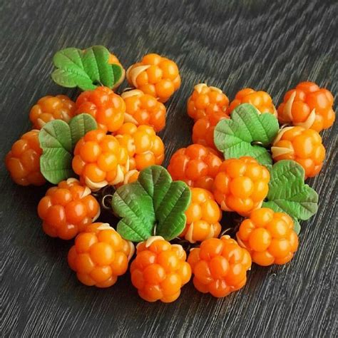 Hjortron frön Rubus chamaemorus Pris 2 85