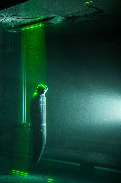 Flow Visualization Lab Insect Flight Group