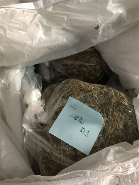 药店从非法渠道购进药品，重罚！｜以案说法 经营 南海区 许可