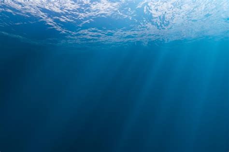 Premium Photo Underwater Background Abstract Underwater Backgrounds