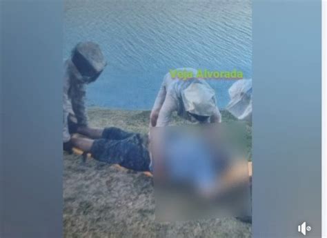 Idoso Morre Após Ataque De Abelhas Em Alvorada Do Sul Jornal Terceira