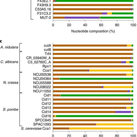 Analyses Of The Nucleotide Addition Activities Of 40 Noncanonical Download Scientific Diagram