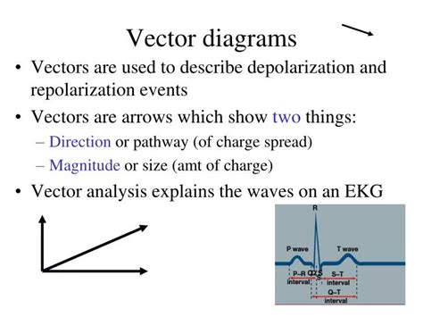 PPT Vector Diagrams PowerPoint Presentation Free Download ID