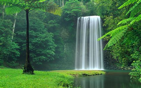 Superbe chute d eau wallpaper HD Fond d écran Ultra HD