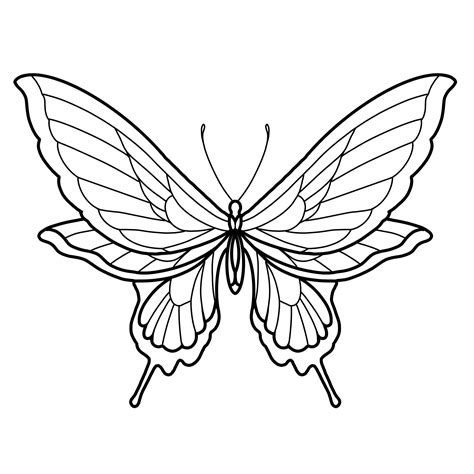 Butterfly Tattoo Stencil Black And White Drawing