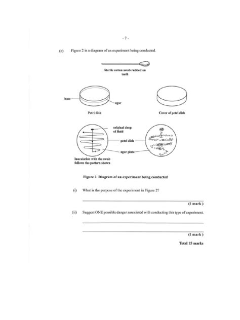 Copy Of Past Paper Review 1 Pdf