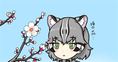 ツシマヤマネコけものフレンズ 春はすぐそこ 鳶のイラスト Pixiv