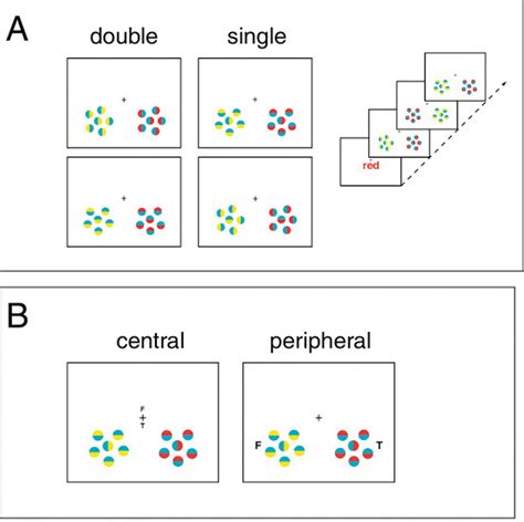 Figure 1 From How Does Attention Attenuate Target Distractor Interference In Vision Evidence