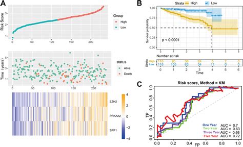 External Validation Of The Lpc Related Prognostic Model In Icgc