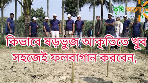কিভাবে ষড়ভুজ পদ্ধতি ব্যাবহার করে খুব সহজেই ফল বাগান করবেন How To Make