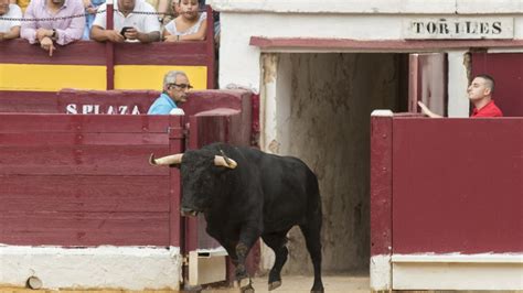 Muerte Corneado En Murcia Muere Un Carnicero Al Ser Corneado Por Un