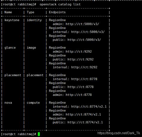 云系列 openstack nova组件 参数说明 详细讲解 kubevirt cpuallocationratio csdn博客