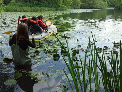 Herts Dna Barcoding Hub Darwin Tree Of Life