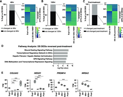 Fmrp Upregulation Is Sufficient To Reverse Over 40 Of The Global Download Scientific Diagram