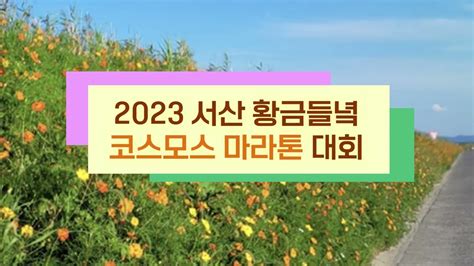 코스탐방 2023 서산 황금들녘 코스모스 마라톤대회 코스 미리보기 Seosan Marathon Youtube