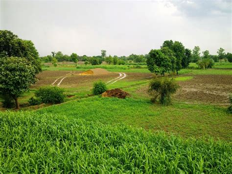 People Of Punjab Lively And Fun Loving Haveli Heritage Punjabi