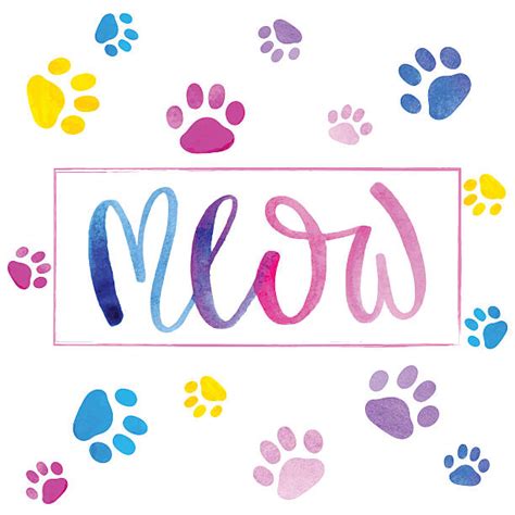 Royalty Free Cat Meow Clip Art Vector Images And Illustrations Istock