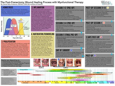Frenuloplasty Post Op Instructions