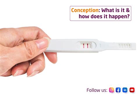 Conception What Is It And How Does It Happen