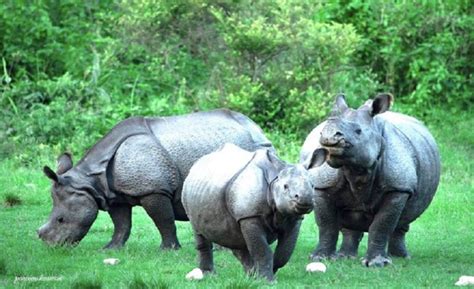 India Launches First Indigenous 32 Bit Microprocessor Vikram 32 Key Milestone In Semiconductor