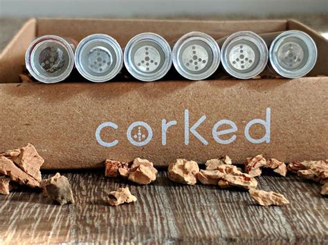 Corked Portable Aromatherapy Diffuser Review Aromatherapy Diffusers